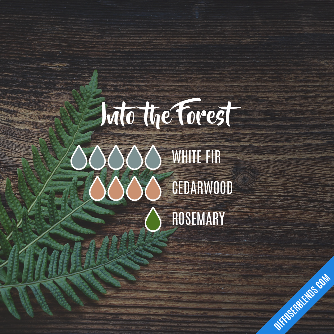 Into the Forest | DiffuserBlends.com