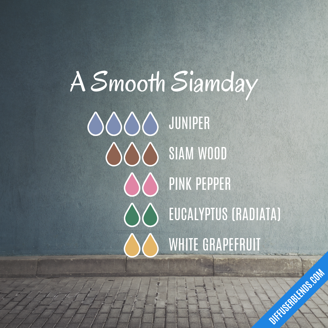 A Smooth Siamday | DiffuserBlends.com