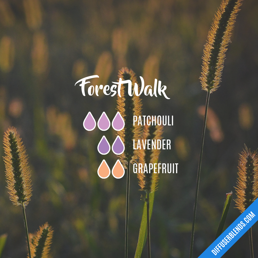 Forest Walk | DiffuserBlends.com