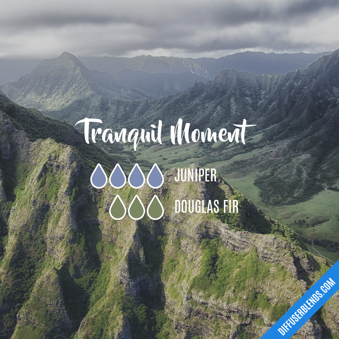 Tranquil Moment | DiffuserBlends.com
