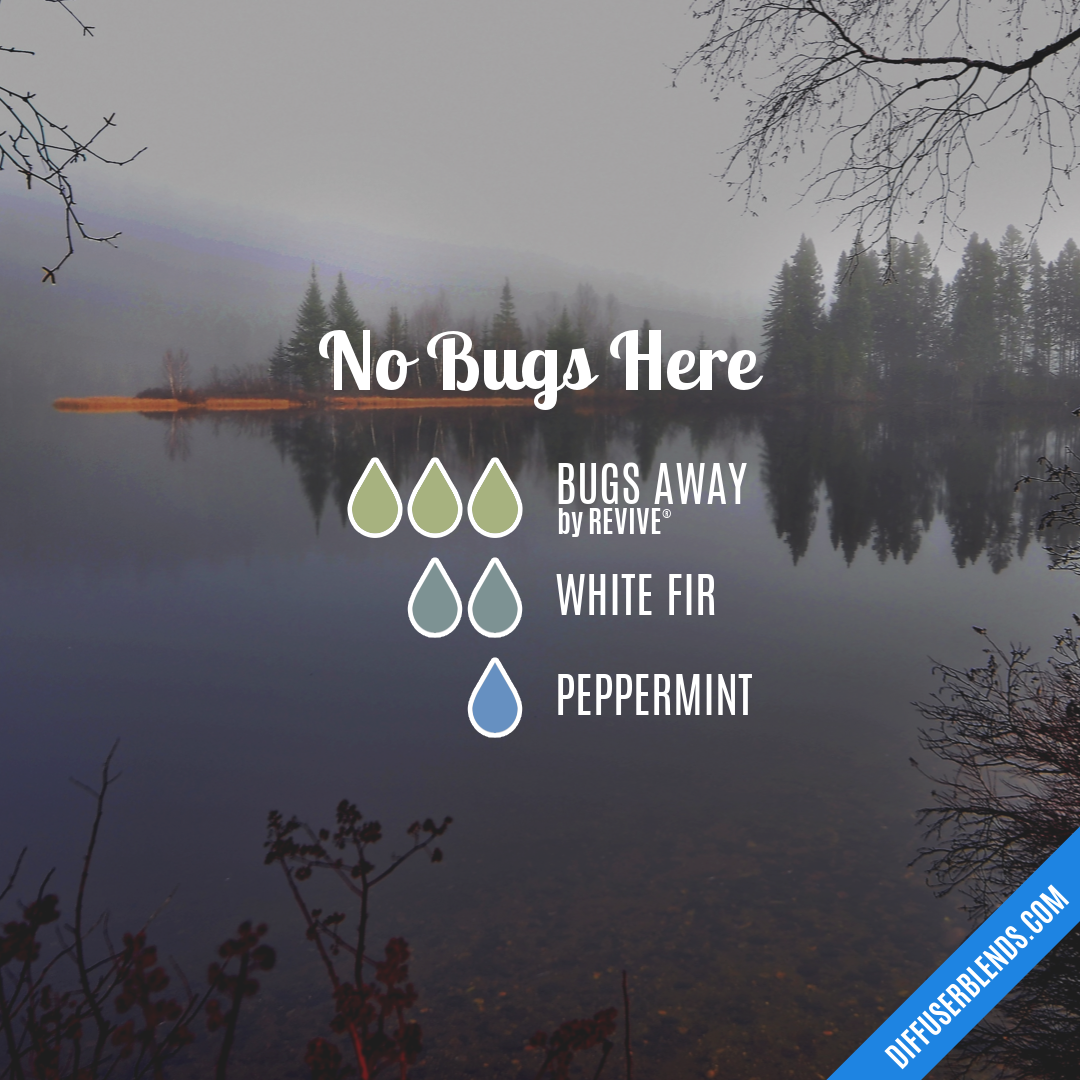 No Bugs Here | DiffuserBlends.com