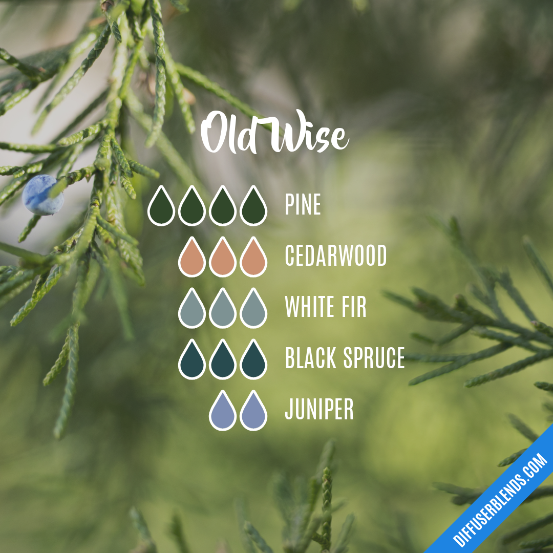 Old Wise | DiffuserBlends.com