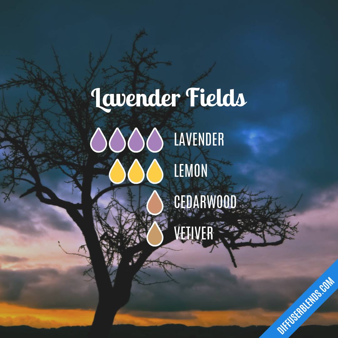 Lavender Fields | DiffuserBlends.com
