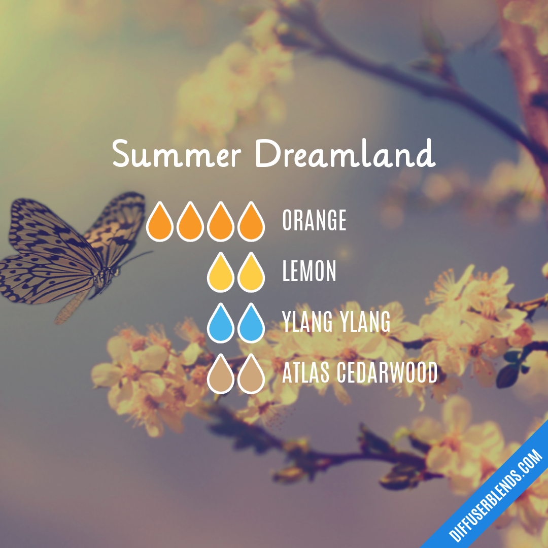 Summer Dreamland | DiffuserBlends.com
