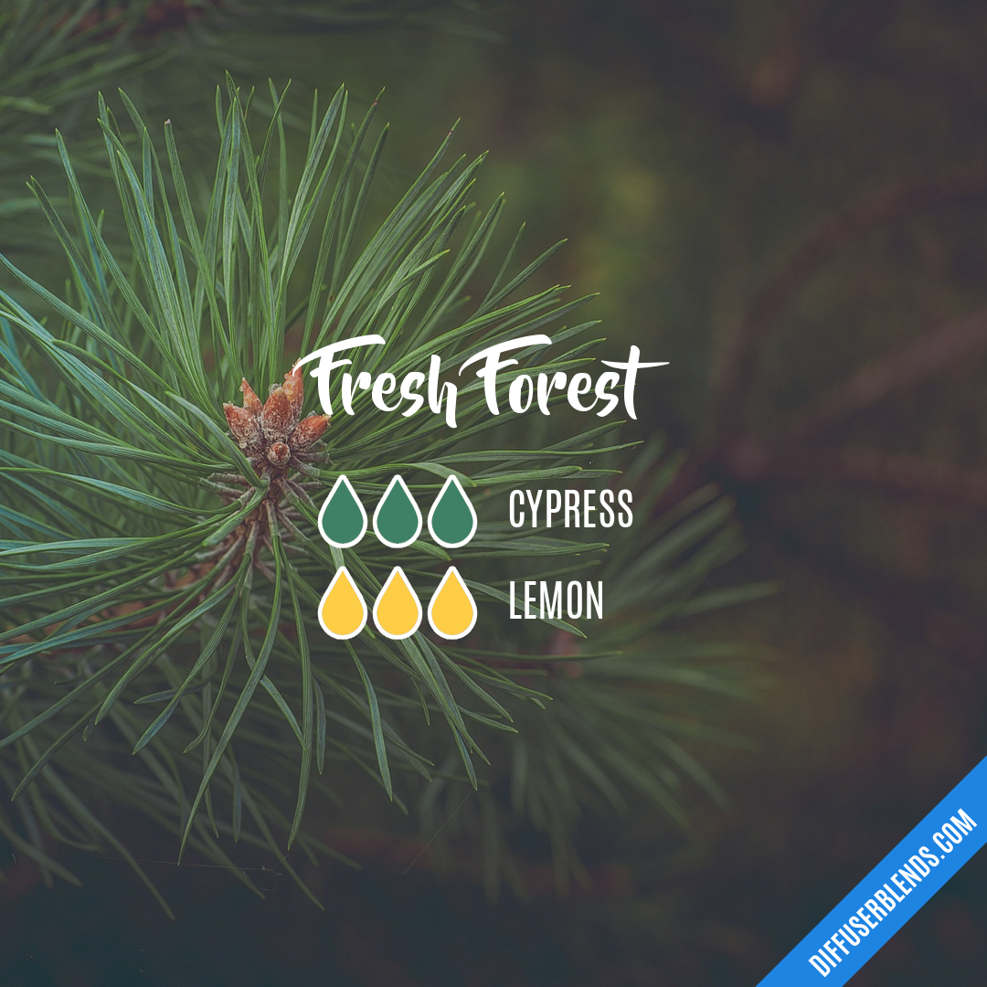 Fresh Forest | DiffuserBlends.com