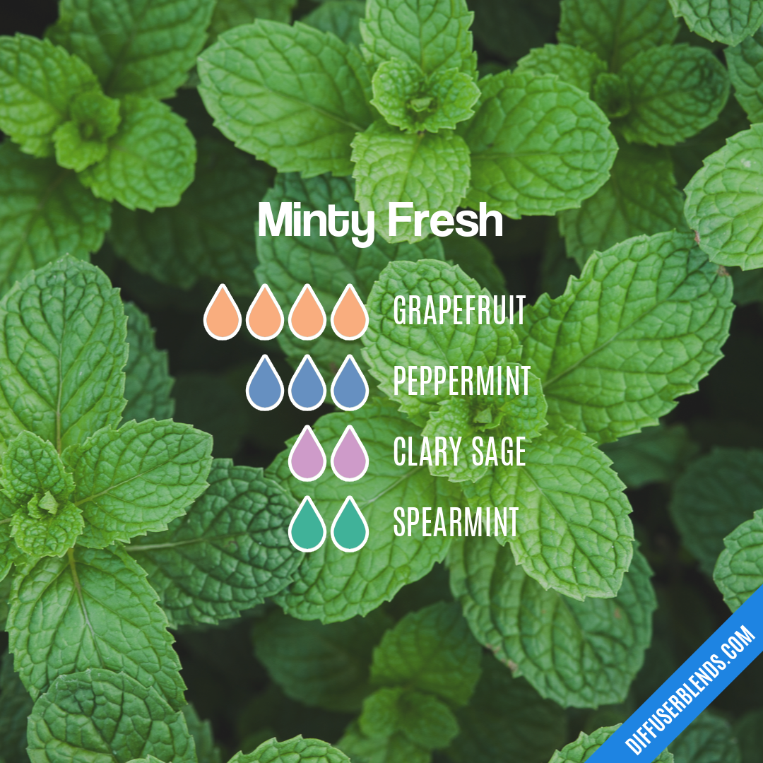 Minty Fresh | DiffuserBlends.com