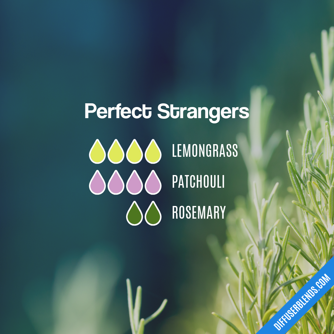 Perfect Strangers | DiffuserBlends.com