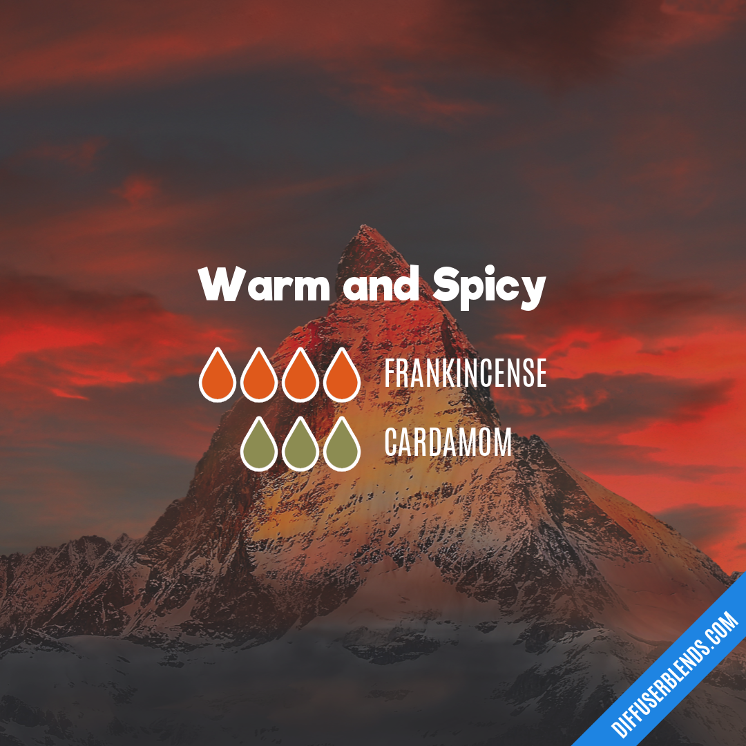 Warm and Spicy | DiffuserBlends.com