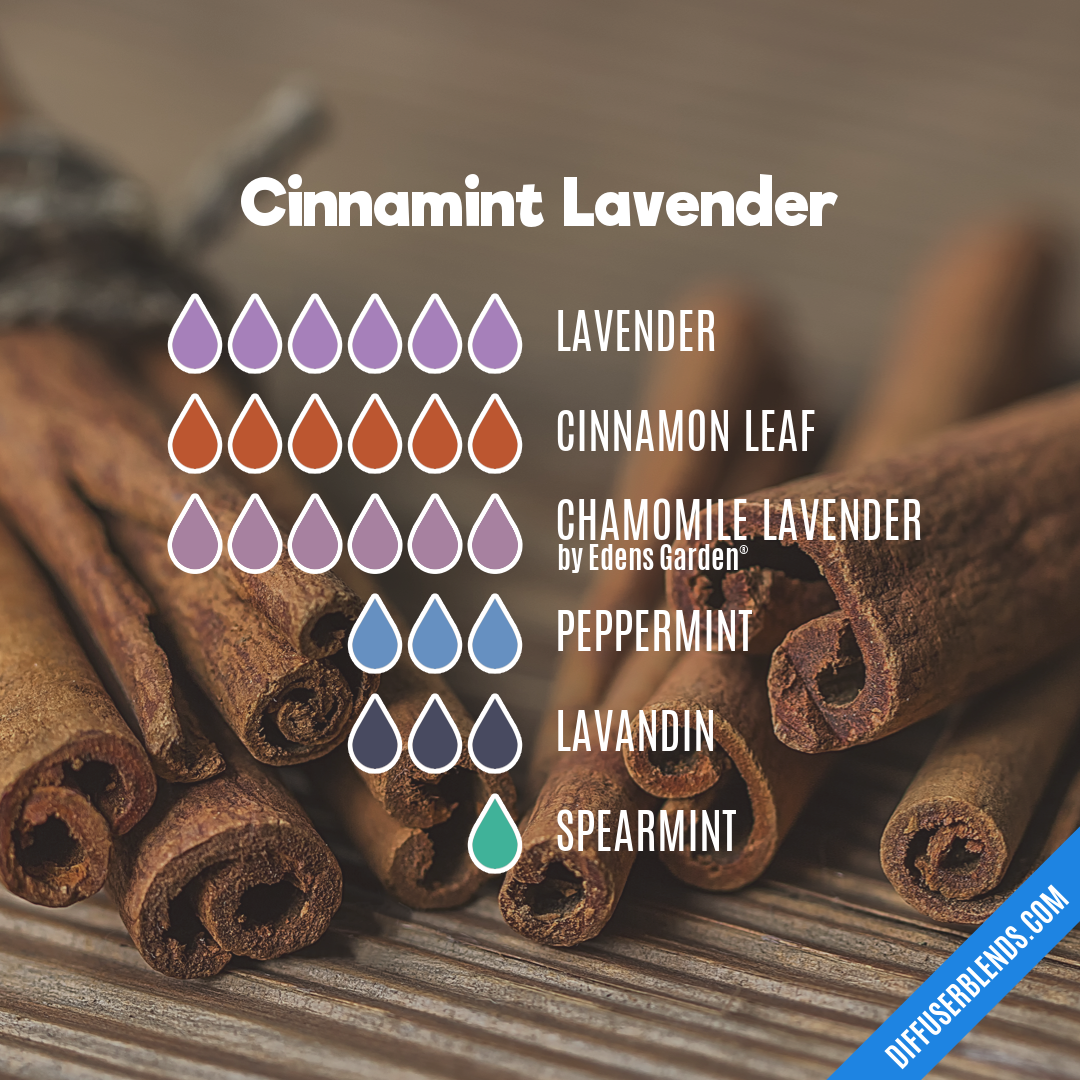 Cinnamint Lavender | DiffuserBlends.com