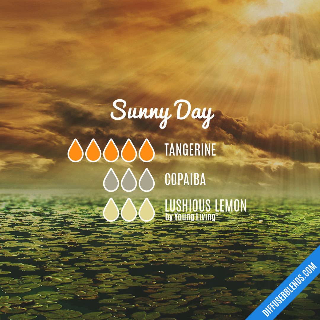 Sunny Day | DiffuserBlends.com