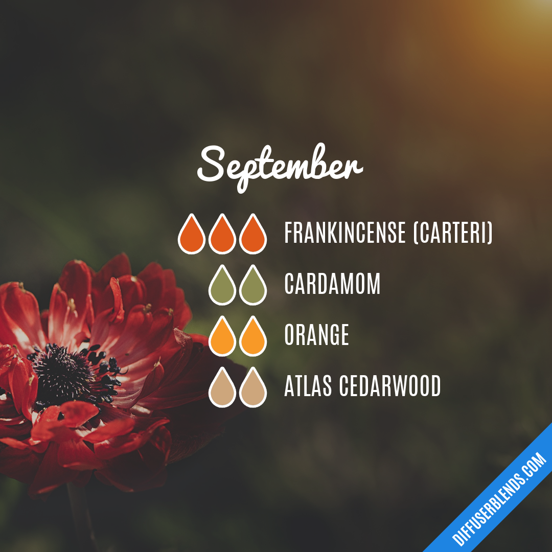 September | DiffuserBlends.com