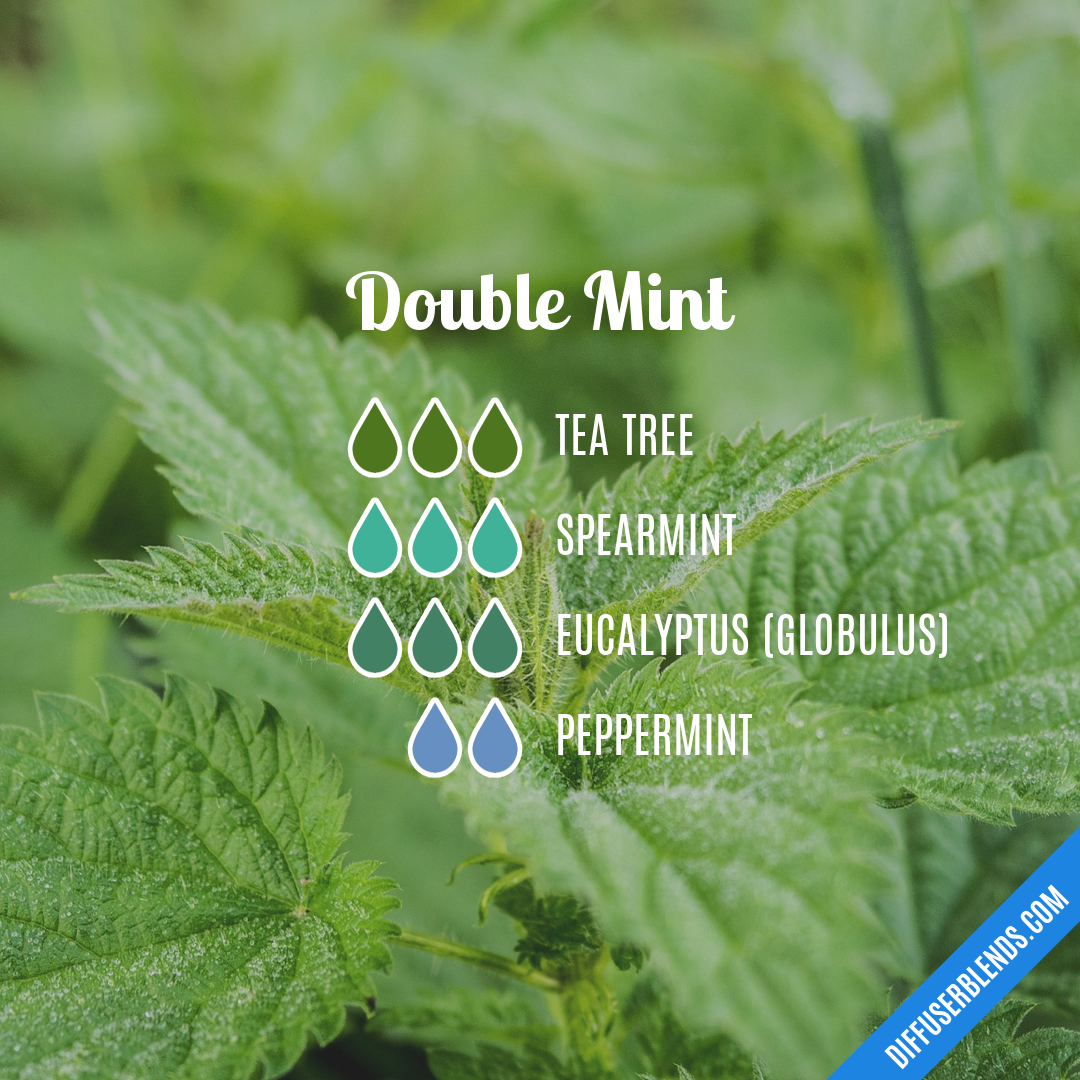 Double Mint | DiffuserBlends.com