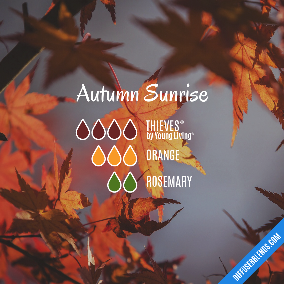 Autumn Sunrise | DiffuserBlends.com