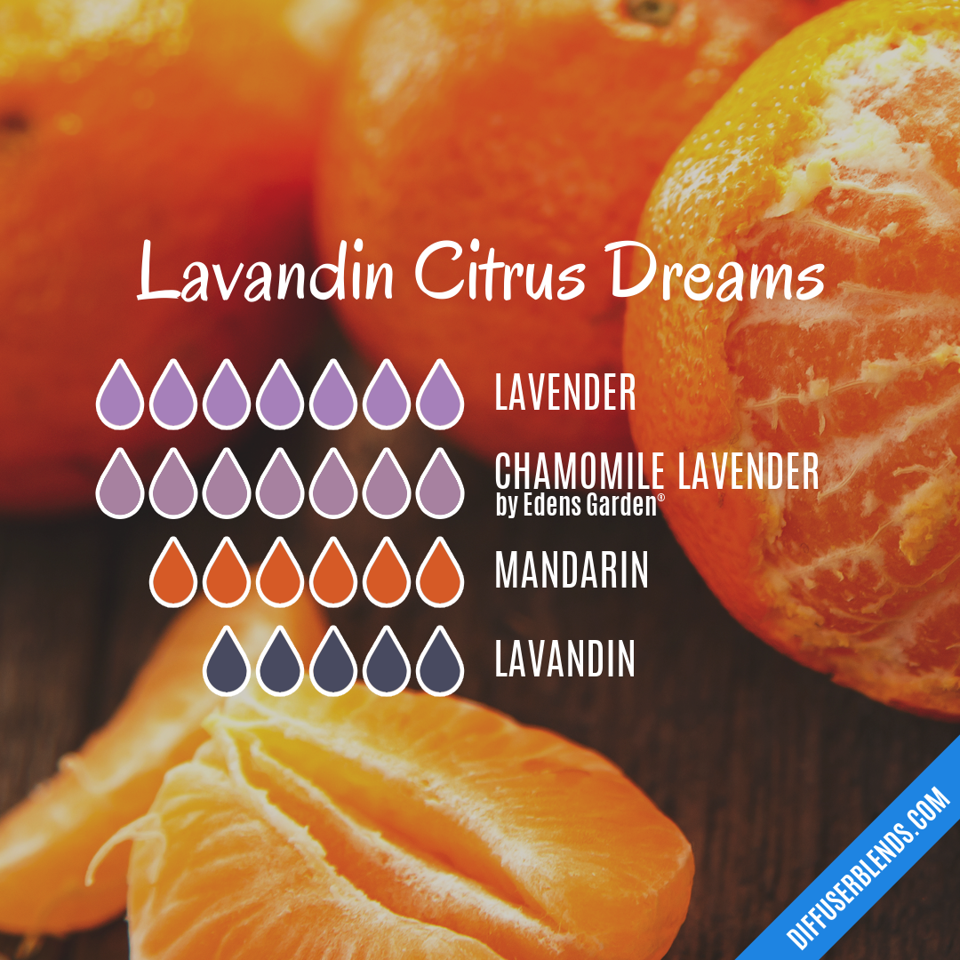 Lavandin Citrus Dreams | DiffuserBlends.com