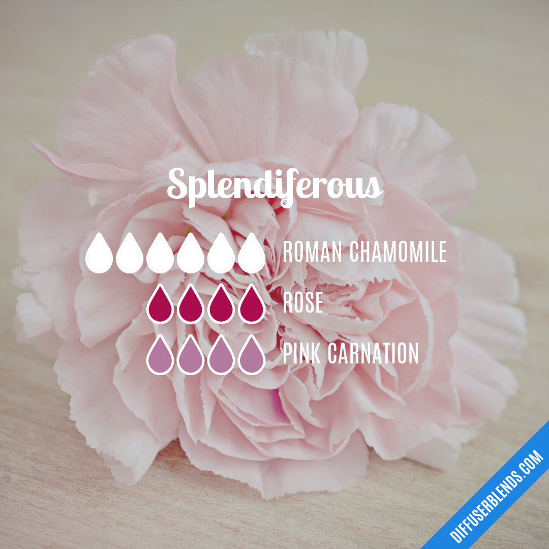 Splendiferous | DiffuserBlends.com