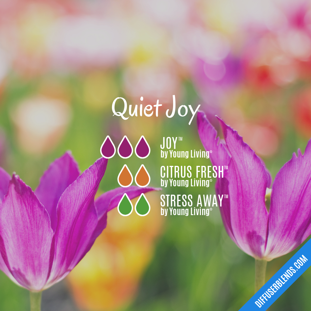 Quiet Joy | DiffuserBlends.com