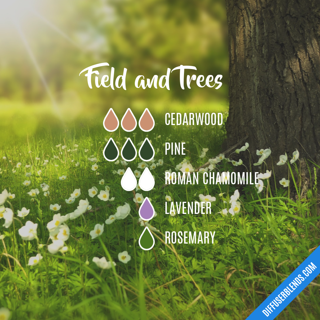 Field and Trees | DiffuserBlends.com