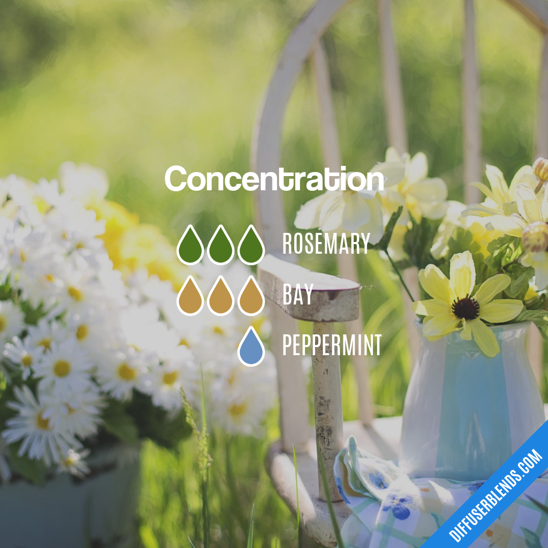 Concentration | DiffuserBlends.com