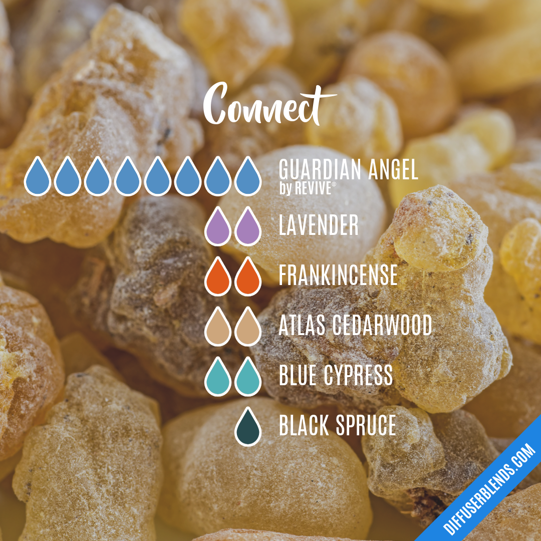 Connect | DiffuserBlends.com