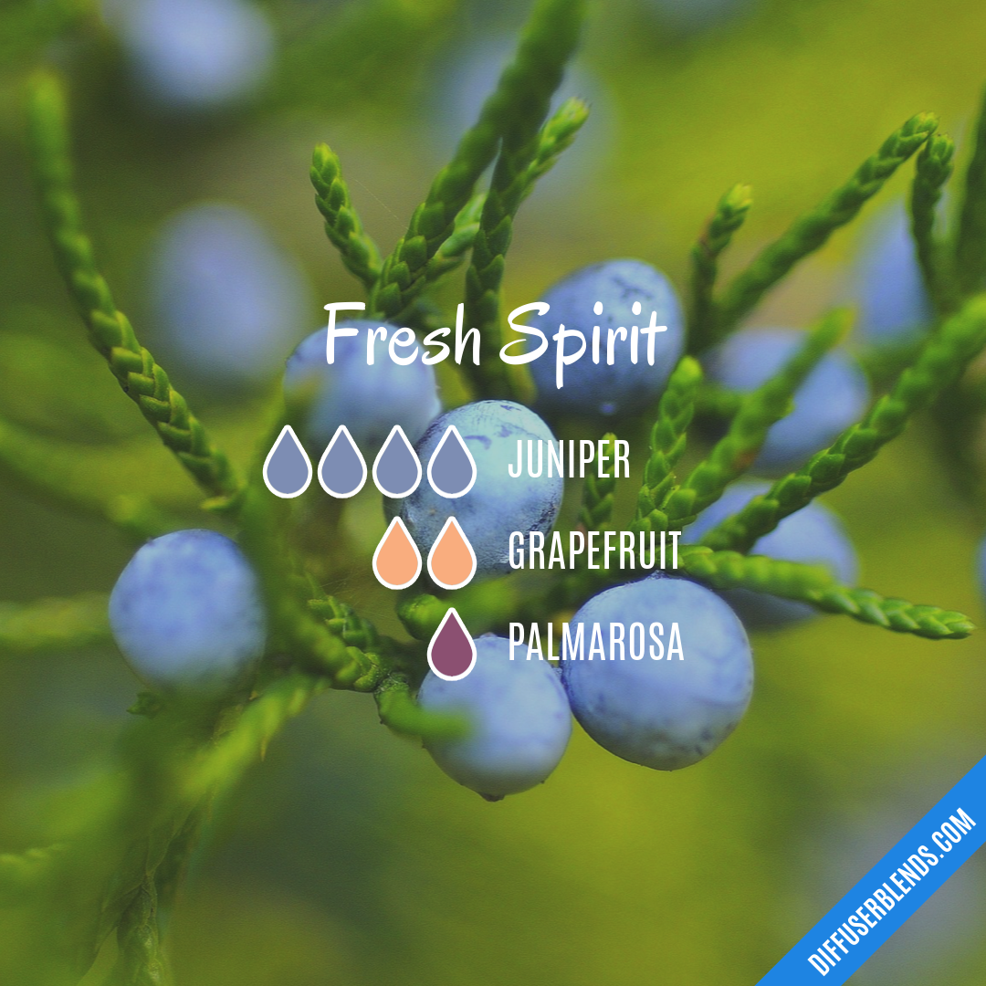 Fresh Spirit | DiffuserBlends.com
