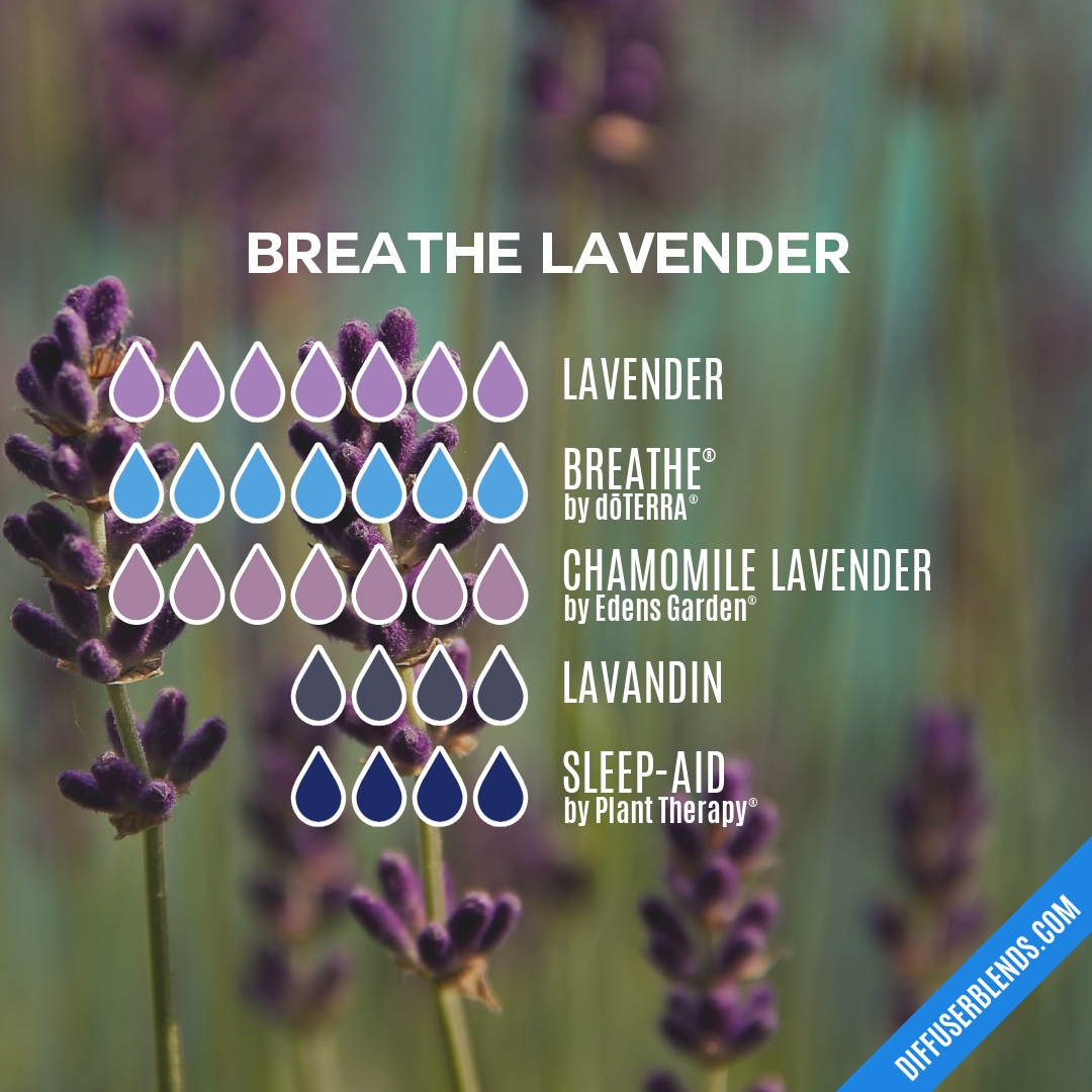 Breathe Lavender | DiffuserBlends.com