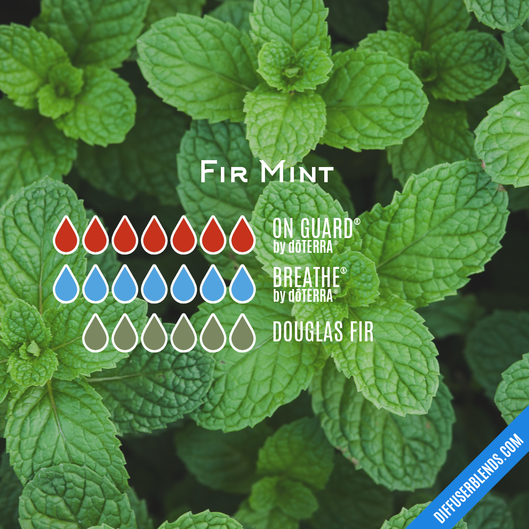 Fir Mint | DiffuserBlends.com