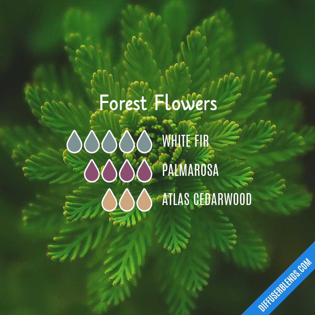 Forest Flowers | DiffuserBlends.com