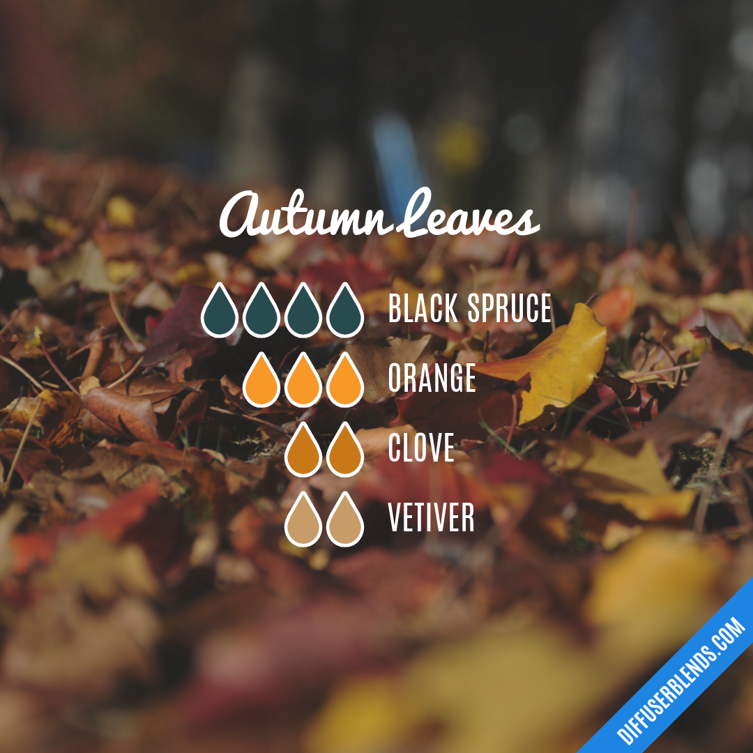 Autumn Leaves | DiffuserBlends.com