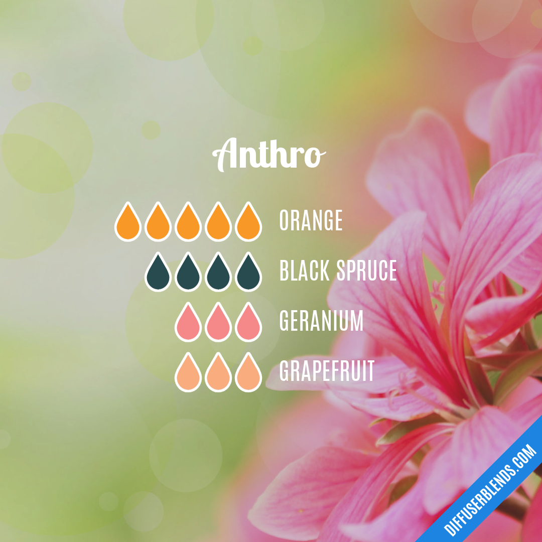Anthro | DiffuserBlends.com