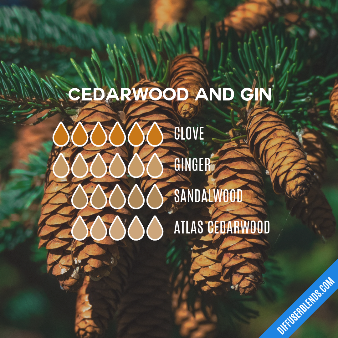 Cedarwood and Gin | DiffuserBlends.com