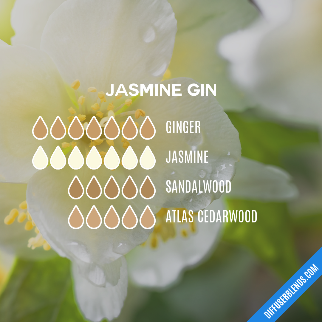 Jasmine Gin | DiffuserBlends.com