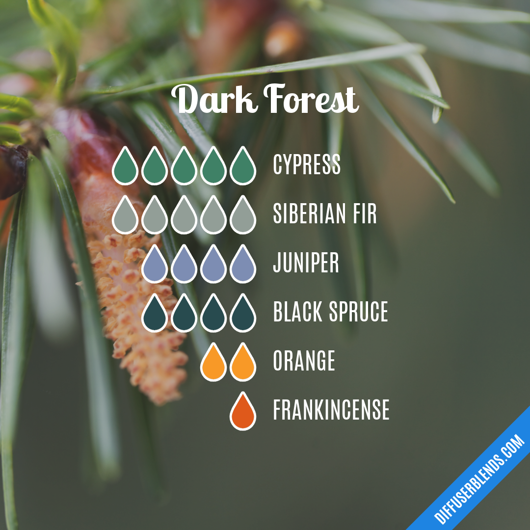 Dark Forest | DiffuserBlends.com