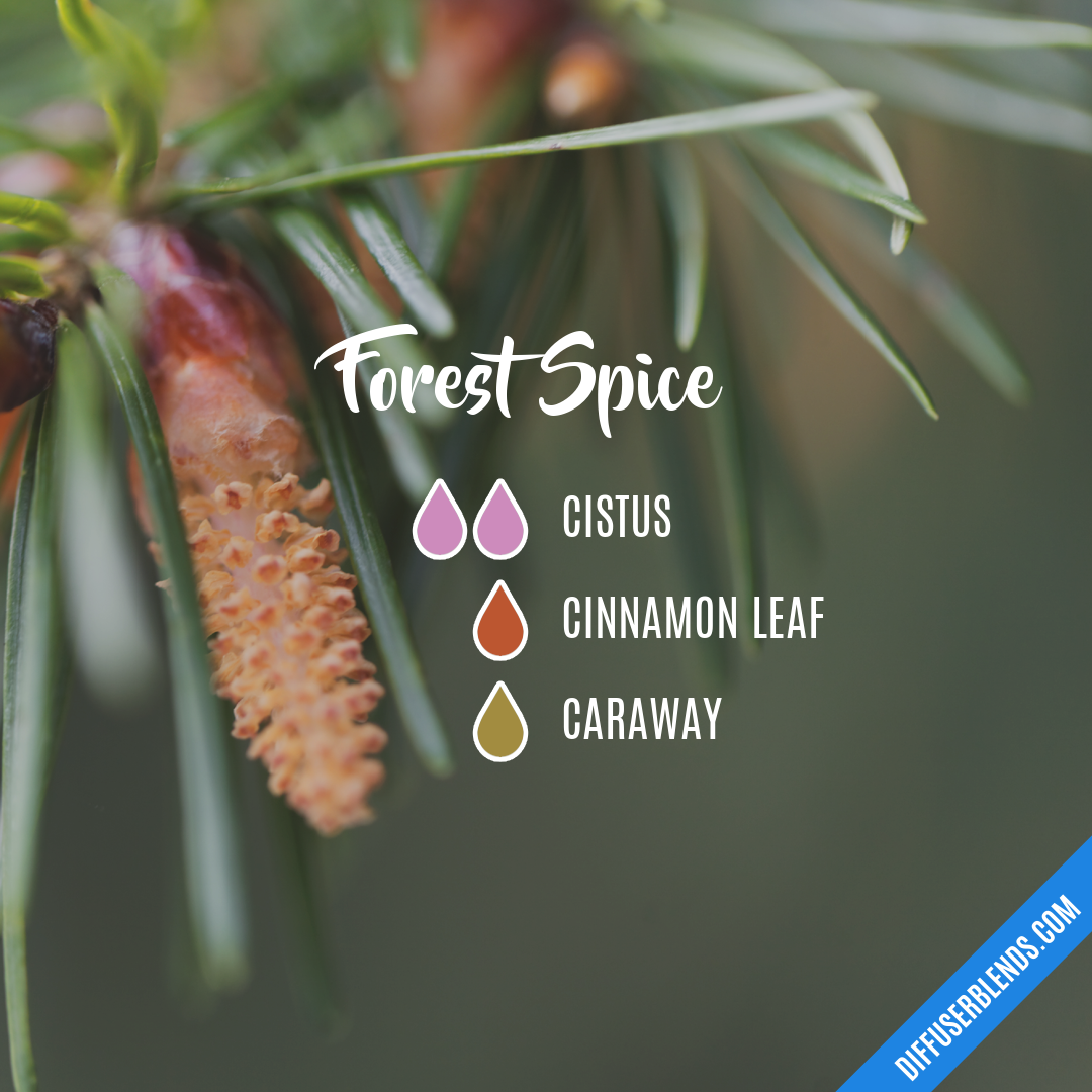 Forest Spice | DiffuserBlends.com