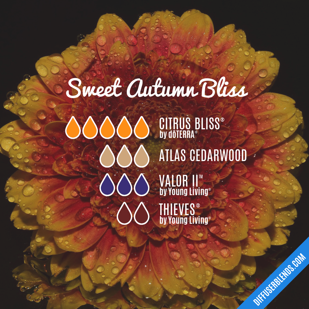 Sweet Autumn Bliss | DiffuserBlends.com