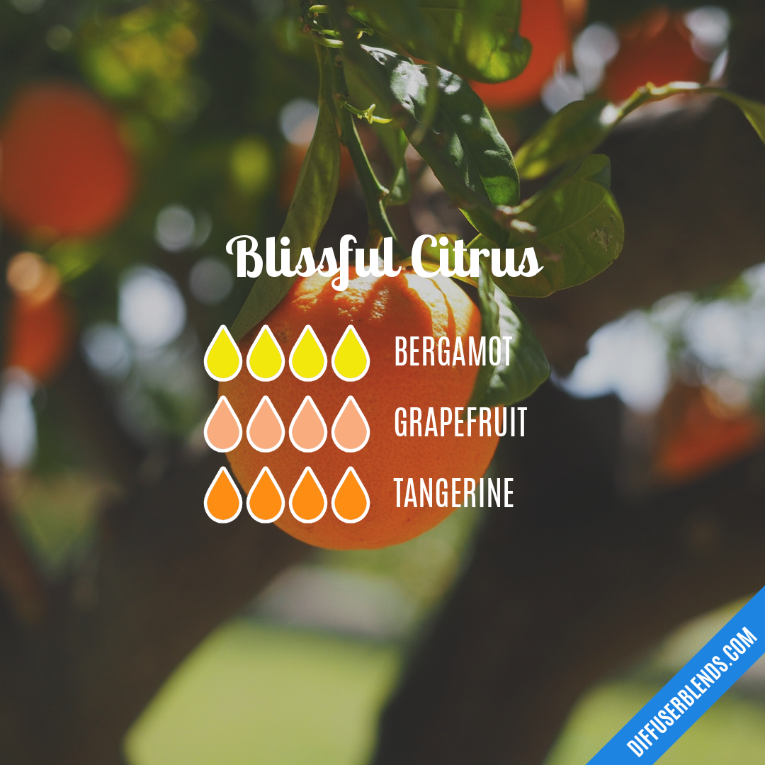 Blissful Citrus | DiffuserBlends.com