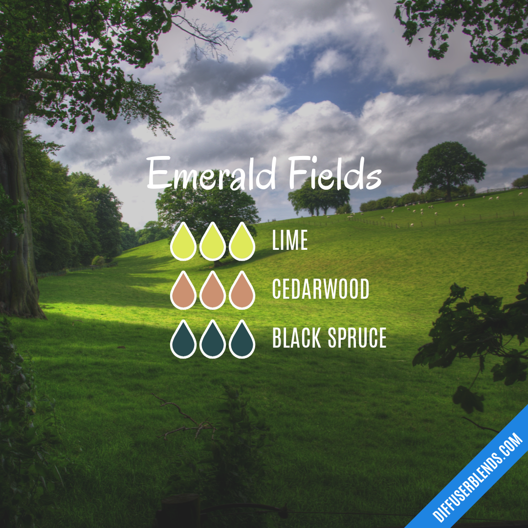 Emerald Fields | DiffuserBlends.com