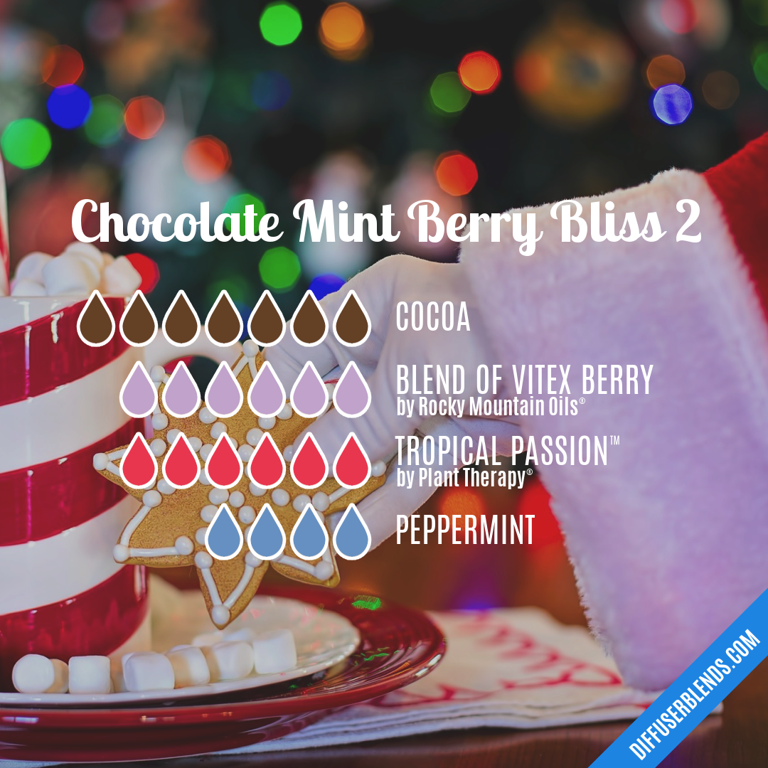 Chocolate Mint Berry Bliss 2 | DiffuserBlends.com