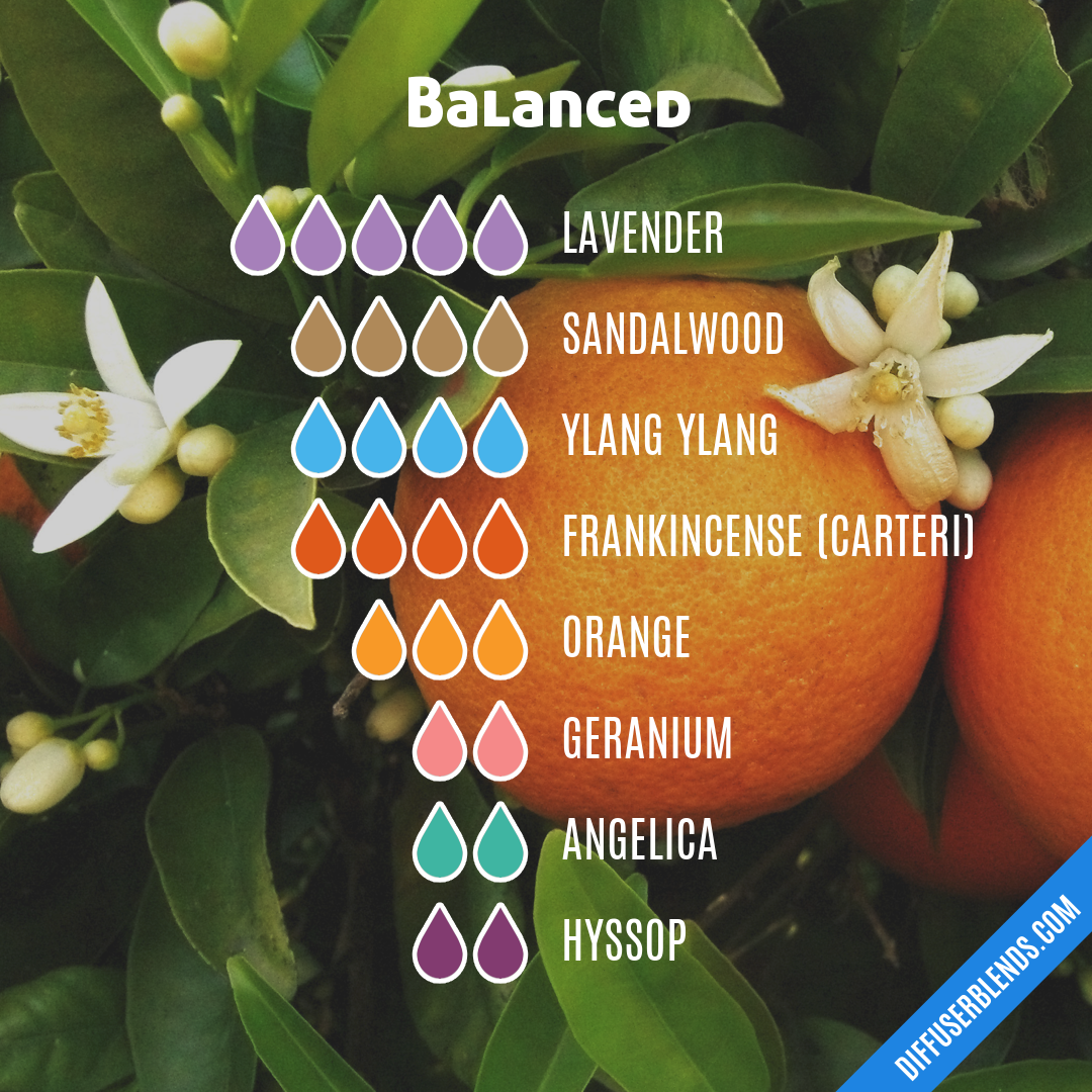 Balanced | DiffuserBlends.com
