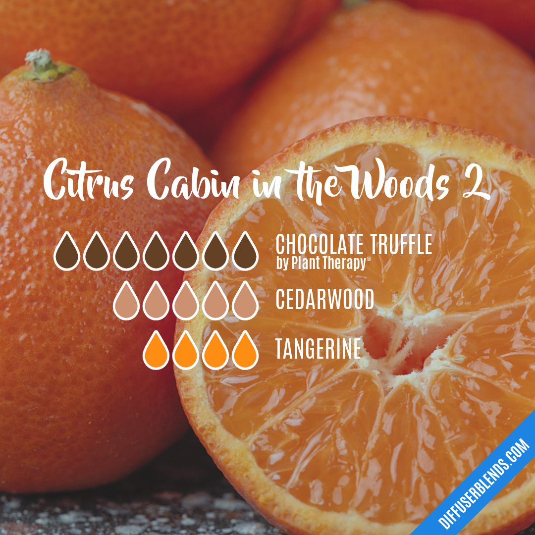 Citrus Cabin in the Woods 2 | DiffuserBlends.com