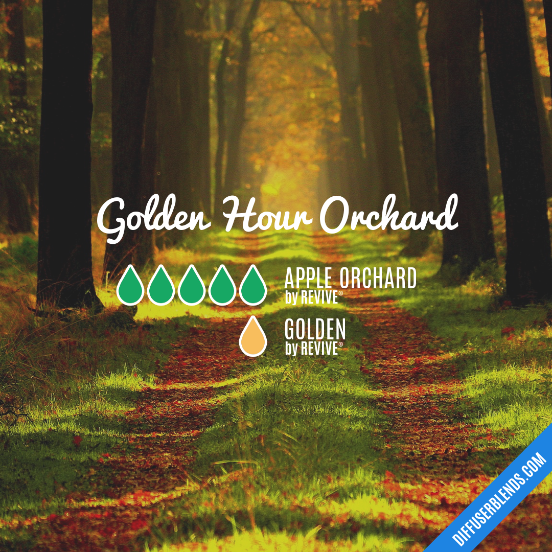 Golden Hour Orchard | DiffuserBlends.com