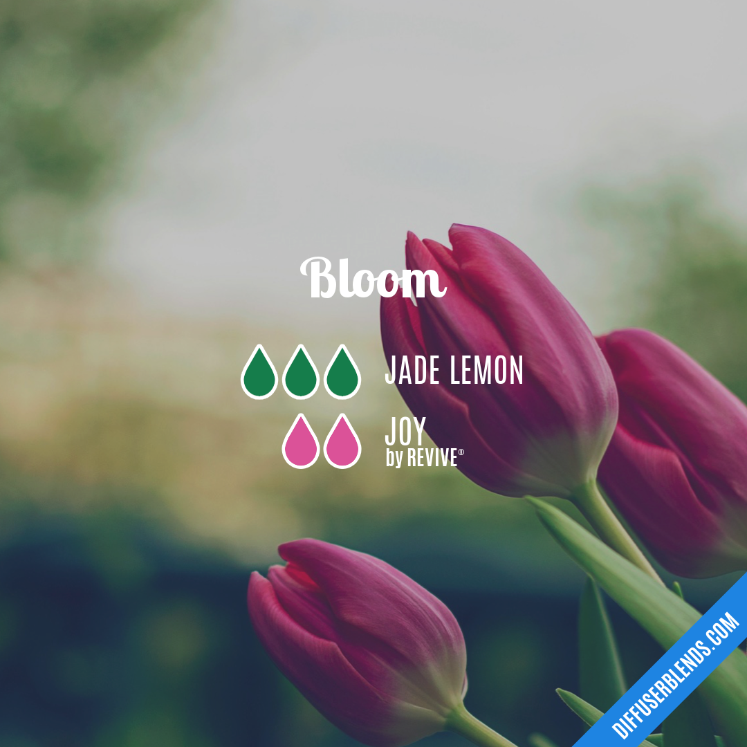 Bloom | DiffuserBlends.com
