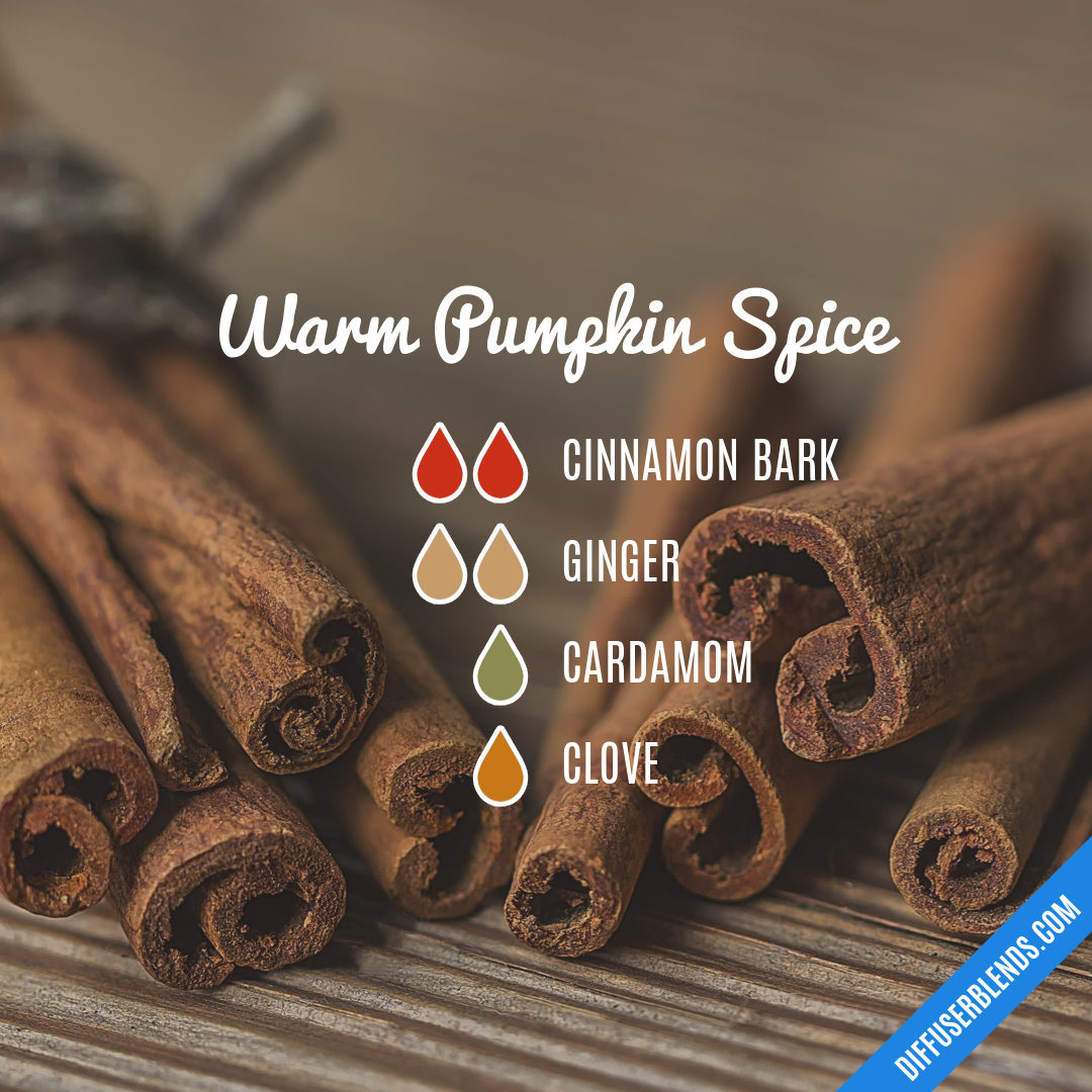 Warm Pumpkin Spice | DiffuserBlends.com
