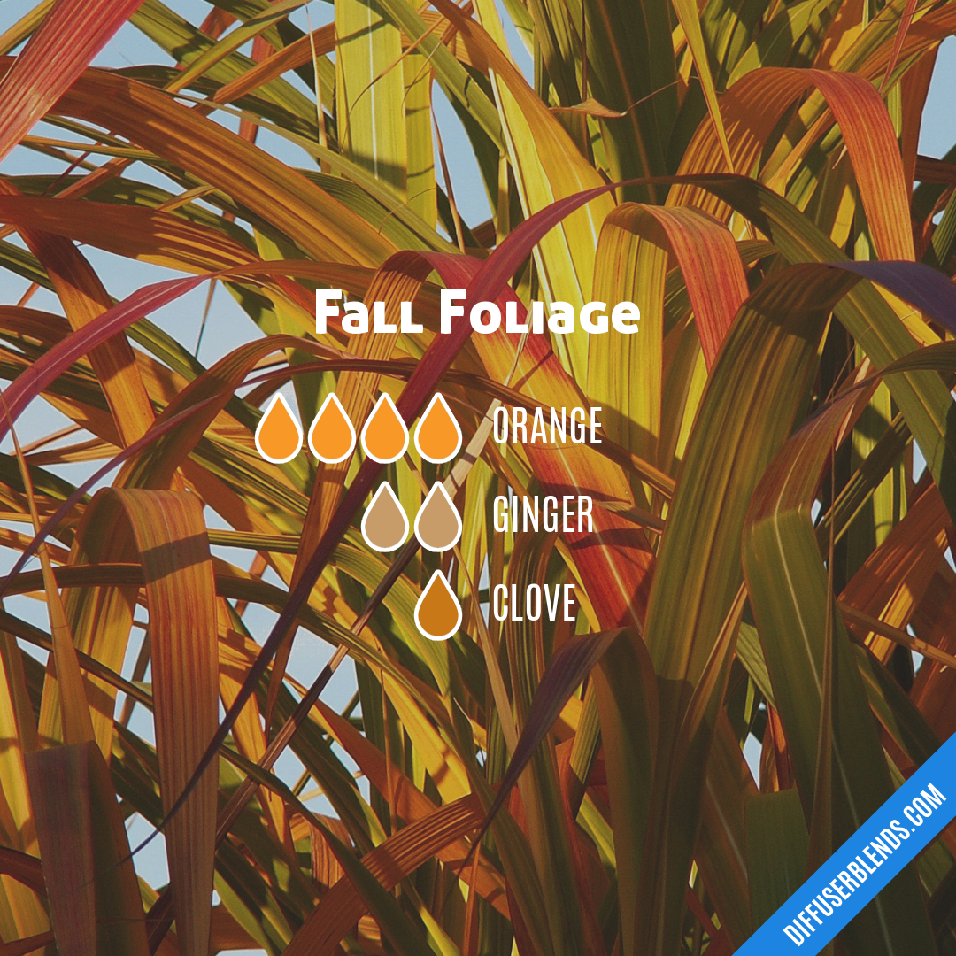 Fall Foliage | DiffuserBlends.com