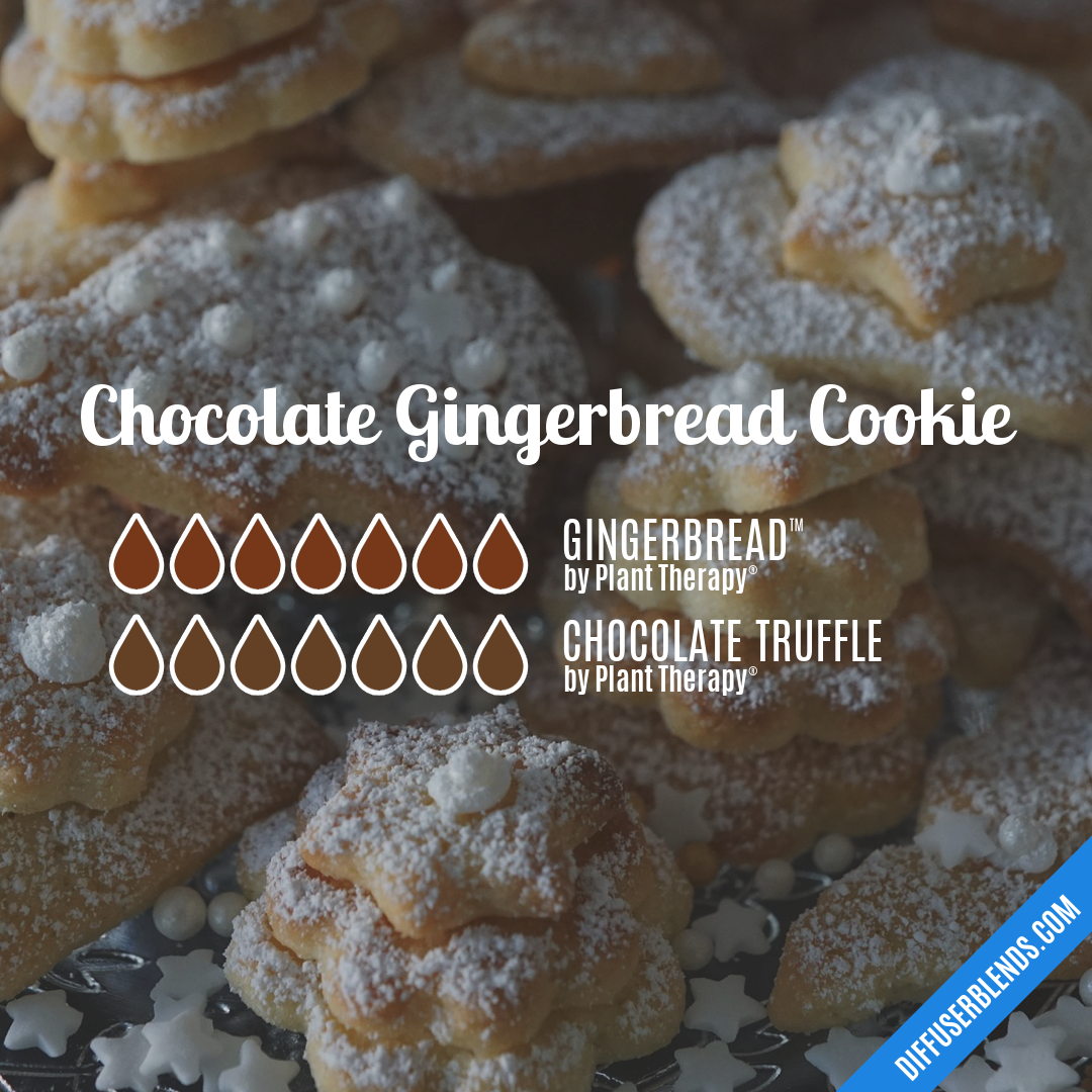 Chocolate Gingerbread Cookie | DiffuserBlends.com