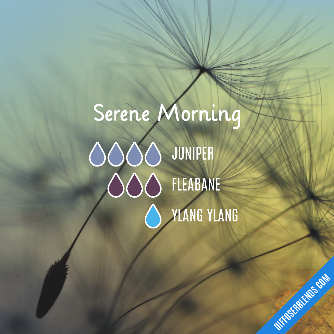 Serene Morning | DiffuserBlends.com