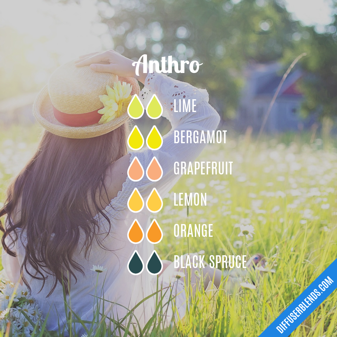 Anthro | DiffuserBlends.com
