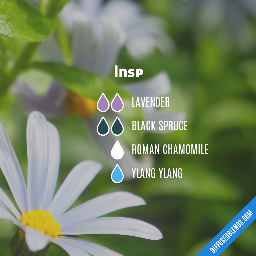 Insp | DiffuserBlends.com