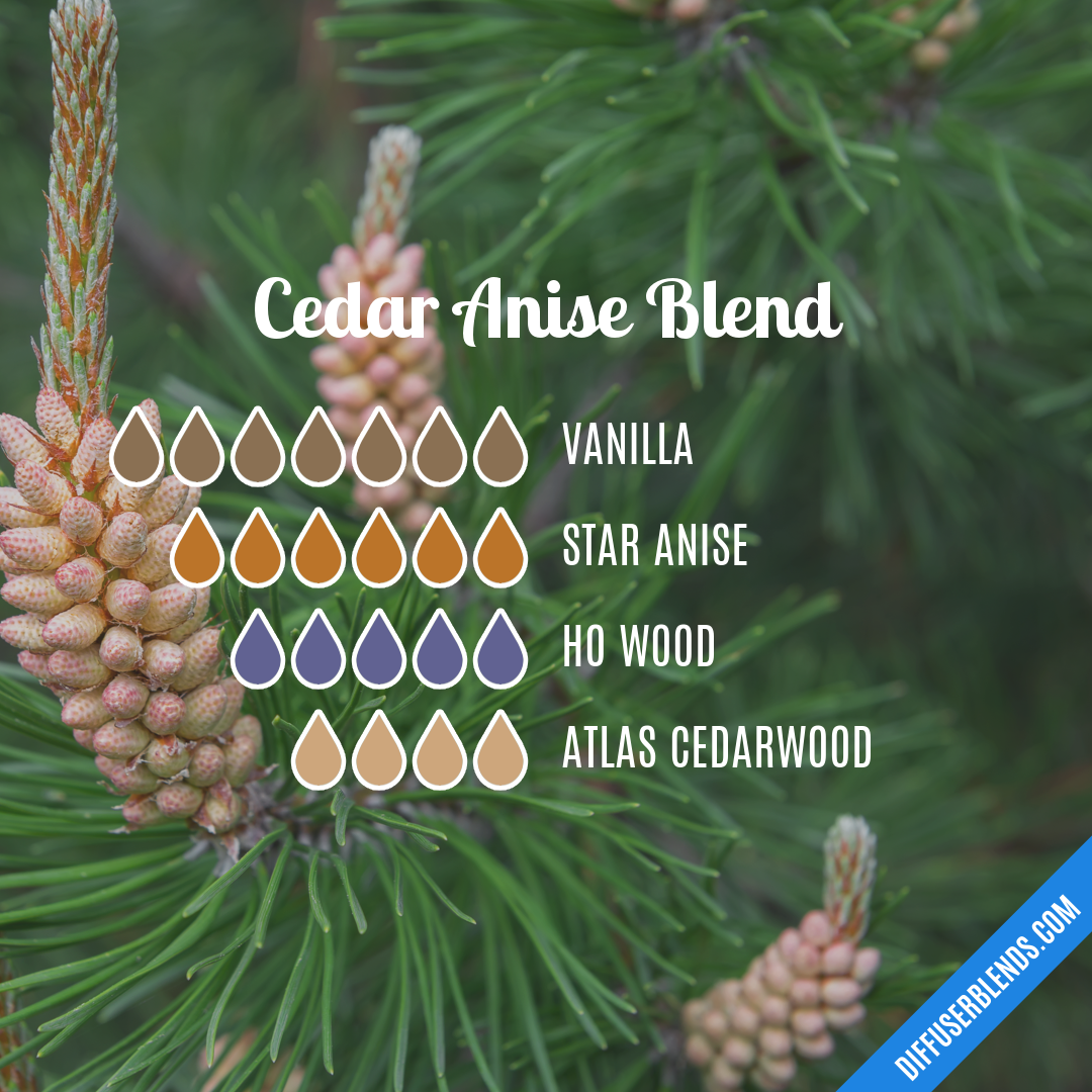 Cedar Anise Blend | DiffuserBlends.com