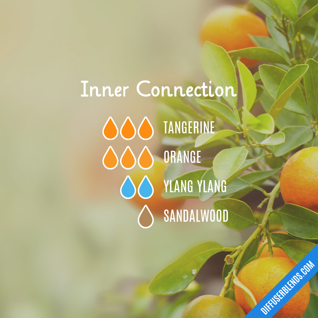 Inner Connection | DiffuserBlends.com