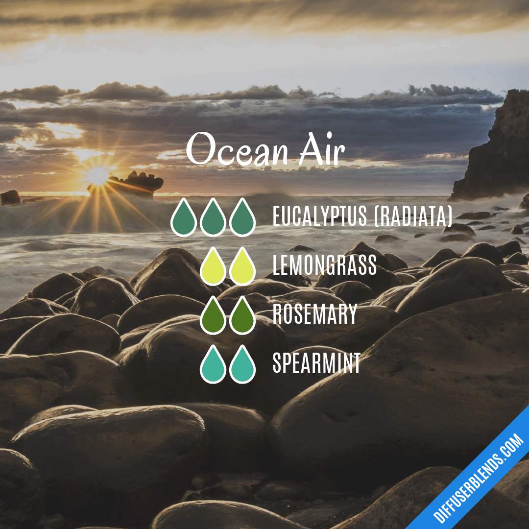 Ocean Air | DiffuserBlends.com